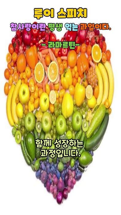 참사랑이란 평생익는 과일이다 라마르틴 하루한문장 좋은글 자기개발 성장 성공 긍정 공감 짧은글 명언 책속명언 공감 사랑 Youtube