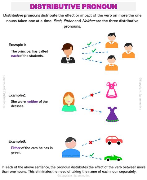 What Is Difference Between Distributive Pronoun And Distributive