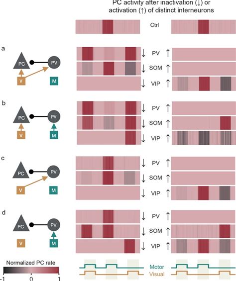 figures and data in learning prediction error neurons in a canonical