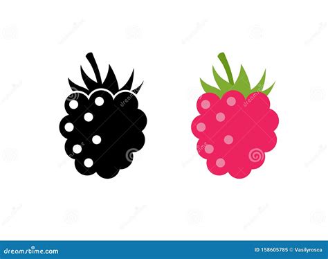 Raspberry Vector Icon Illustration Flat Berry Sweet Healthy Organic Fruit Raspberry Blackberry