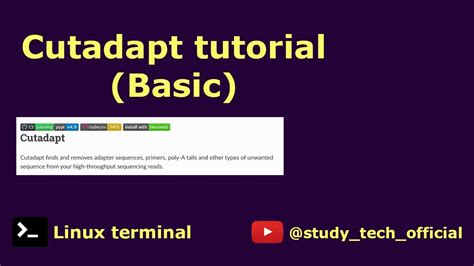 Cutadapt Tutorial 🛠️install 💻 Run 🎓 Paired End Bioinformatics Biology Youtube