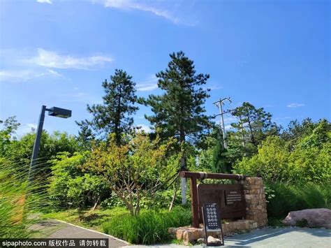 신제커우 도시삼림공원 新街口城市森林公园 베이징 관광망