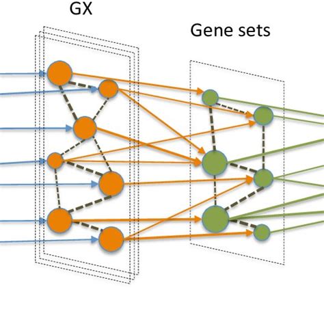 The Proposed Multilayer Network For Integration Of Heterogeneous Omics
