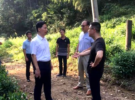 简讯：高真理赴汀溪乡开展林长制巡查调研 泾县人民政府