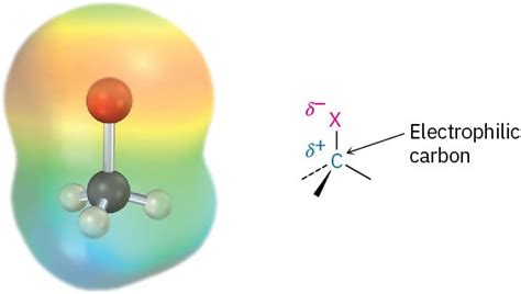 61 Names And Structures Of Alkyl Halides Fundamentals Of Organic