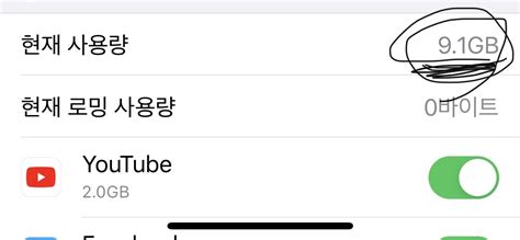 셀룰러데이터 Apple 커뮤니티