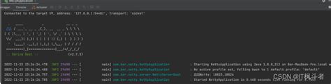 springboot整合netty，自定义协议实现 springboot 整合 netty csdn博客