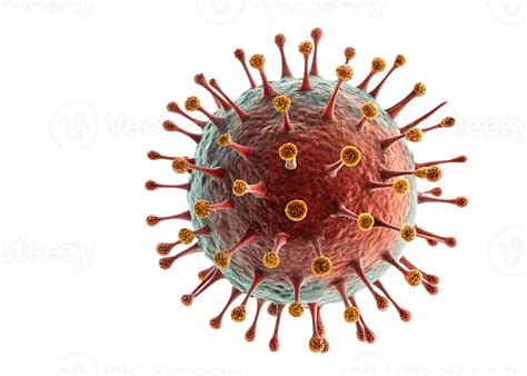 Virus Structure Visualized In Three Dimensions 58027782 Png
