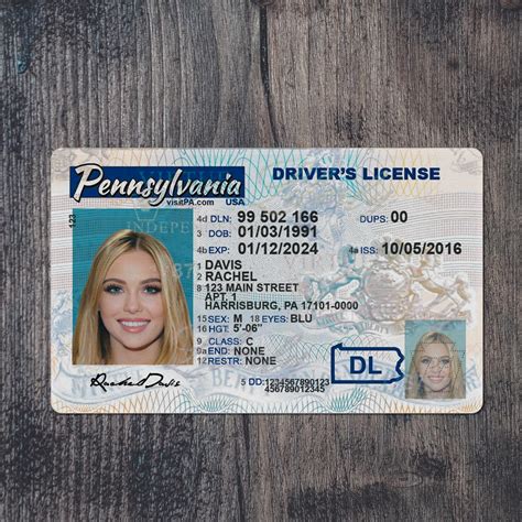 Pennsylvania Driver License Template Psd Editable Classic Id For