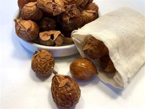 Soap Nuts Natural Laundry Cleanser