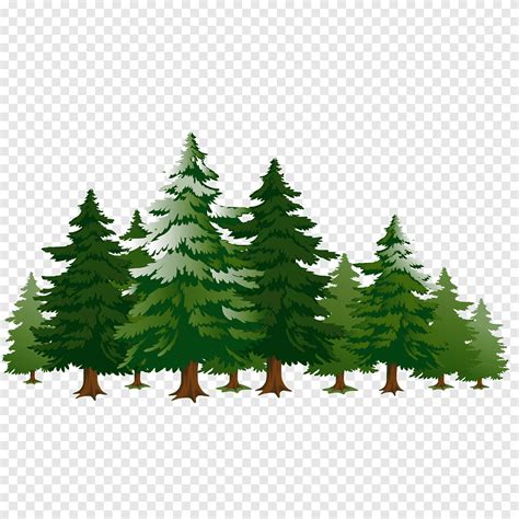 Pine Tree Clipart Png