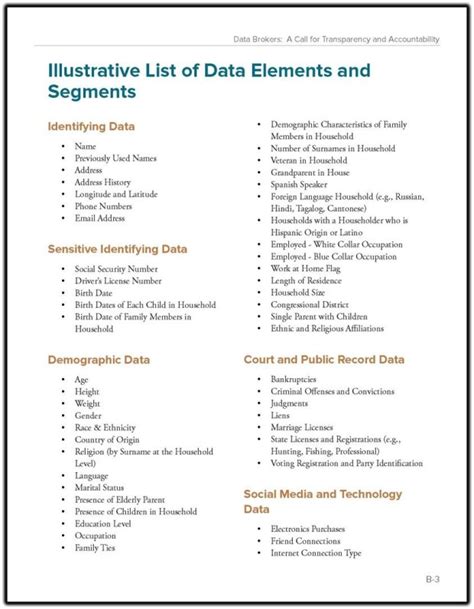 Data Elements American Intelligence Media