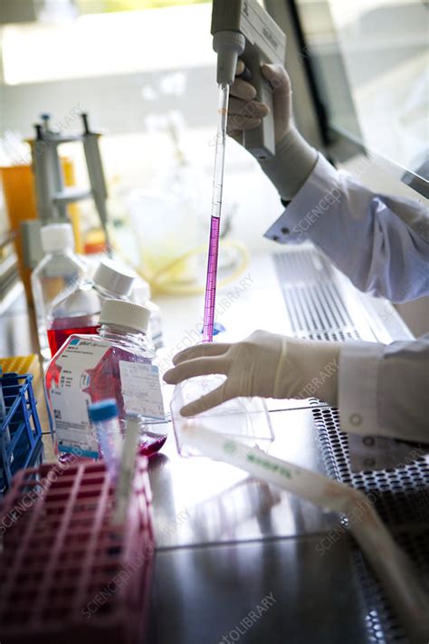 Bioprinting Stock Image C025 4714 Science Photo Library