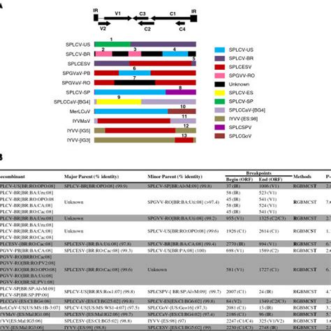 Schematic Representation Of Recombination Events A And Details Of The Download Scientific