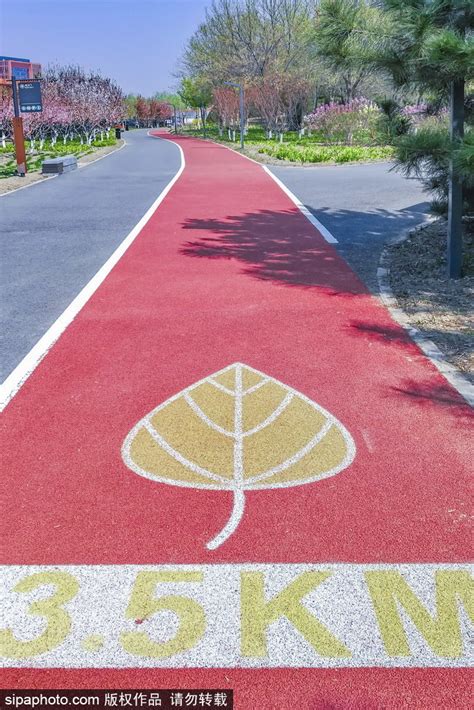 海棠花开未来科学城滨河公园