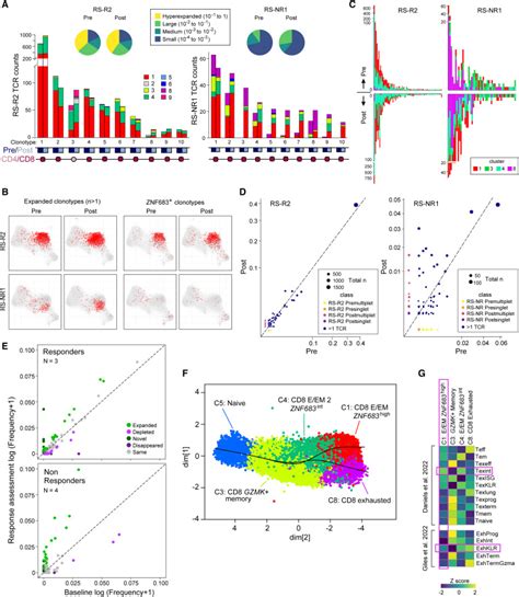 ZNF Marks A CD T Cell Population Associated With Anti Tumor Immunity Following Anti PD