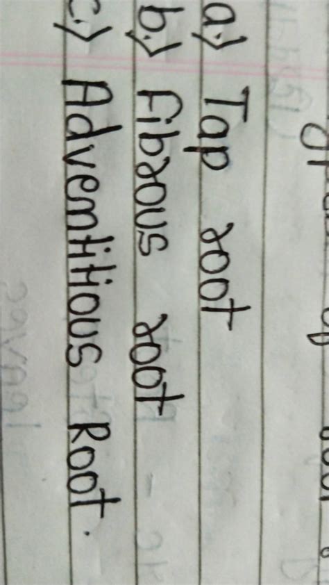 A Tap Rootb Fibrous Rootc Adventitious Root Filo