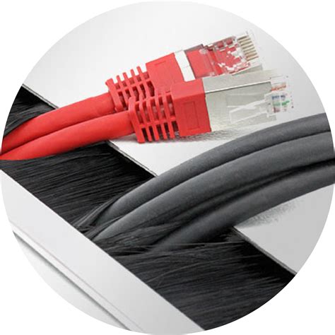 Icotek Wolf Automation