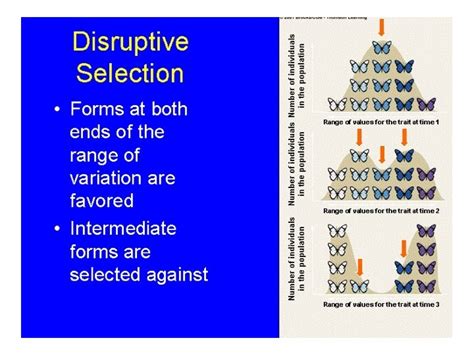 Population Genetics And Speciation Chapter 16 Evolution O