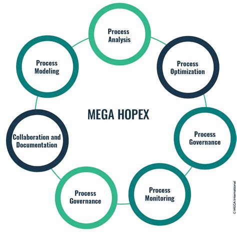 Business Process Improvement The Expert Business Guide Mega