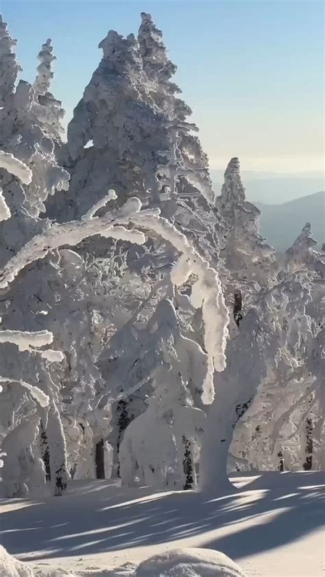 ХОРОШИЙ ПАБЛИК Жду смешных комментариев 😂 Instagram