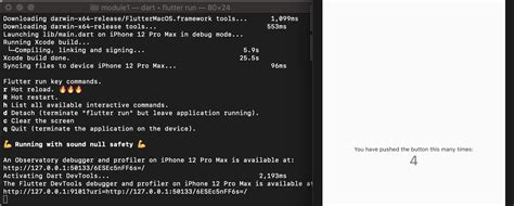 failed to find assets path for frameworks app framework flutter assets from flutter module