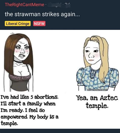 Its Not A Strawman Argument Its A Joke R Theleftcantmeme