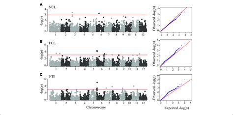 Manhattan Plots And Quantilequantile Plots Of Genome Wide