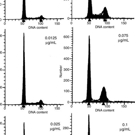 Schematic Diagram Of The Cell Cycle Showing Different Phases Outer Download Scientific Diagram