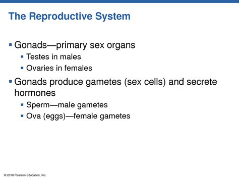 Solution Chapter Reproductive System Studypool