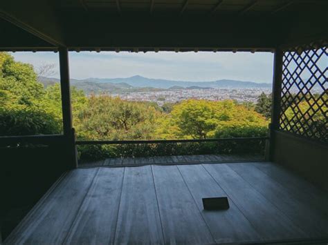 2024大河内山庄在竹林入口附近的山顶据说是一个导演买下了这里精心修饰这里的一草一木都是主任亲自修缮 大河内山庄 评论 去哪儿攻略