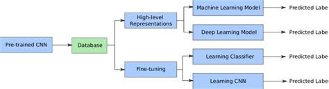 1 An Overview Of The Cnn Based Transfer Learning Framework Download