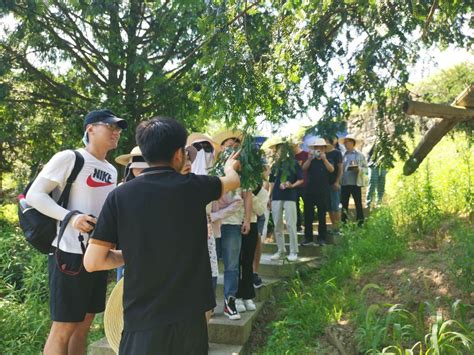 新华社人民网光明日报主流媒体集结诸暨探访榧林