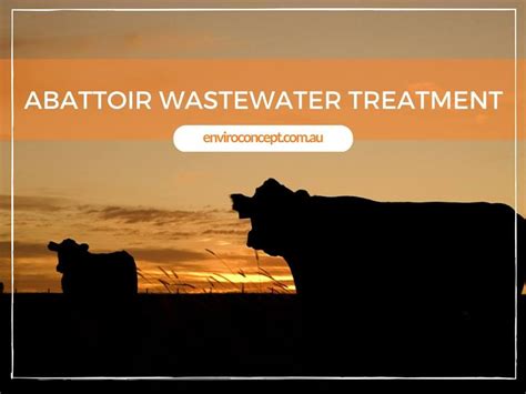 Abattoir Wastewater Treatment Enviro Concepts Waste Water Treatment