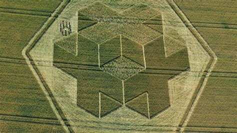 Why Are There Crop Circles Theyre Real And Contain Hidden Messages