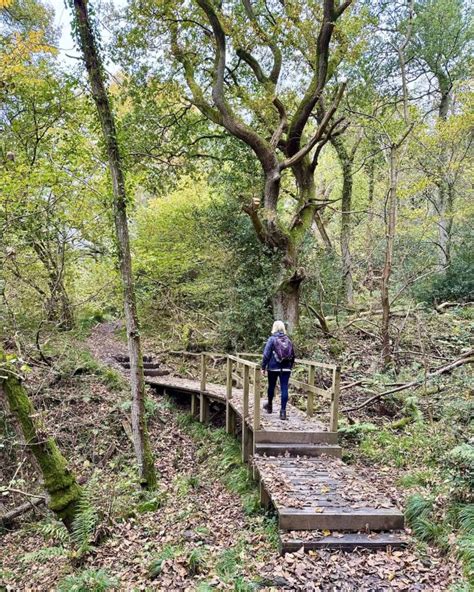 Falling Foss Waterfall Walk Scenic North York Moors Circular Trail