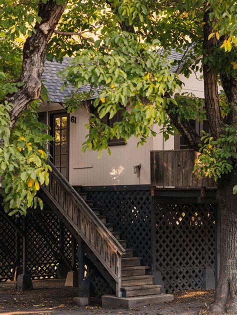 Johnsons Beach Cabins And Campground Guerneville