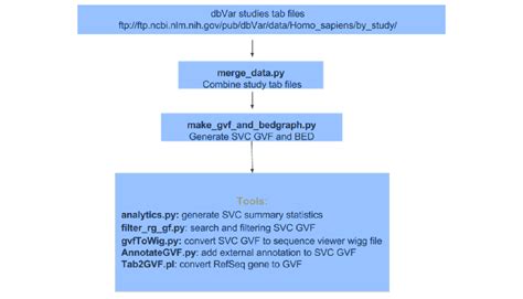 Dataflow For Generating Svc And Tools For Analysis Download