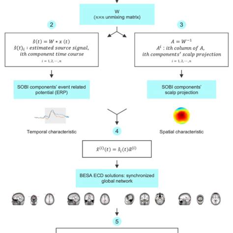 The Analysis Pipeline Consists Of Five Processing Steps 1 Blind