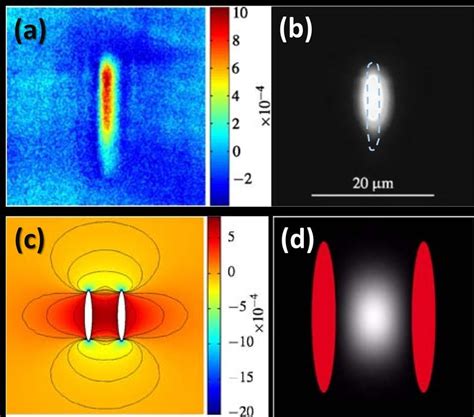 Refractive Index Distribution Of Waveguides Written Inside Linbo3 With