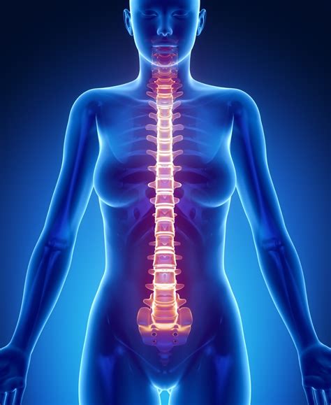 Prenatal Massage In Milton On Impact Chiropractic Center