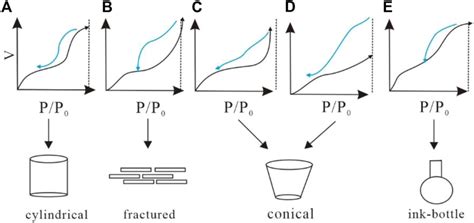 Relationship Between The Hysteresis Loop And Pore Morphology
