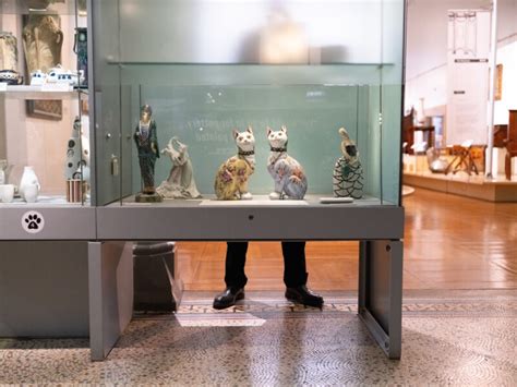 Plan Your Visit Brighton And Hove Museums