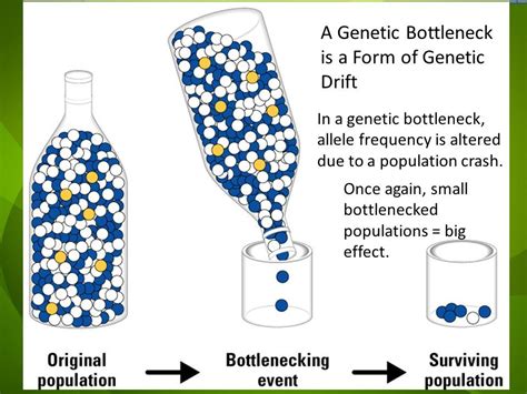 Bottlenecking Pc Meaning