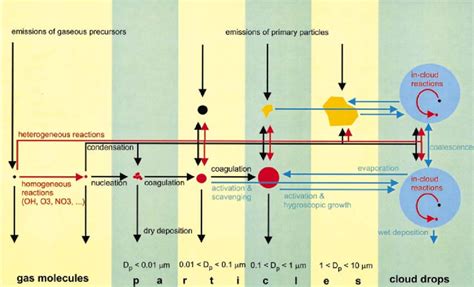 4 Scheme Of The Microphysical Processes That Influence The Size Download Scientific Diagram