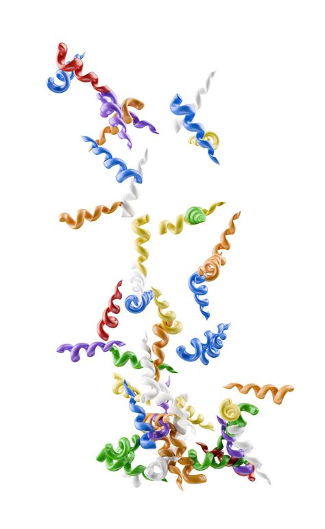 Alpha Galactosidase Nutrients And Bioactive Compounds Essential4health