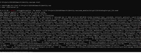 Nodejs I Am Trying To Start Npm But Its Showing Error As Please Try