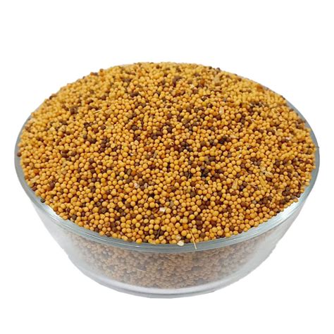 Peeli Sarso 500gm Yellow Mustard 100 Original Fresh And Pure Sarson Pili Tukham Bheej