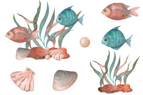 해초와 생선 삽화는 주황색과 청록색입니다 수족관 구성 수채화 구성 개체 그룹에 대한 스톡 벡터 아트 및 기타 이미지 개체 그룹 그래픽 프린트 그리기 Istock
