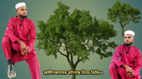 প্রাচীনকালের বটগাছ নিয়ে আপনাদের মাঝে হাজির হলাম সম্পুর্ণ ভিডিও না টেনে দেখুন Youtube
